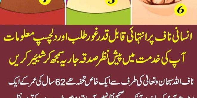 What Happens When You Start Oiling Your Belly Button Daily Web Story